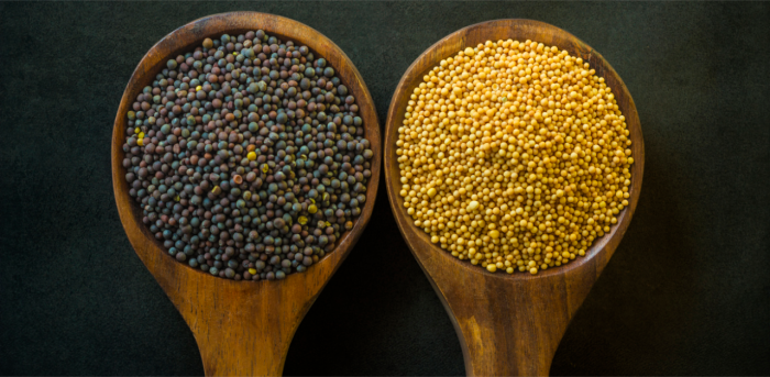 Mustard - Tiny Seeds with Huge Potential. - https://ayurvedaplace.com/